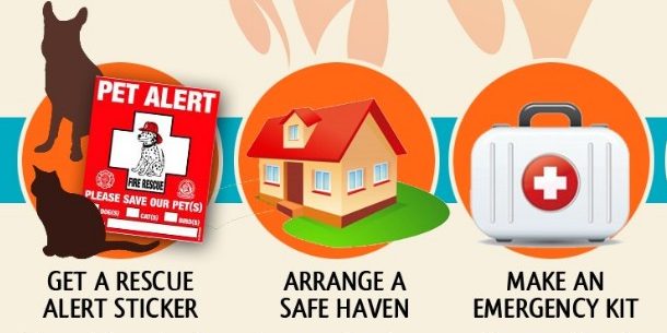 In case of fire, be prepared! | LoveCATS World