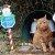 Barney, the cemetery cat | LoveCATS World