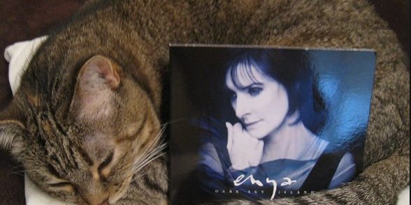 A famous Irish Cat Lady | LoveCATS World