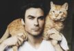 10 Reasons to date a man who loves cats | LoveCATS World