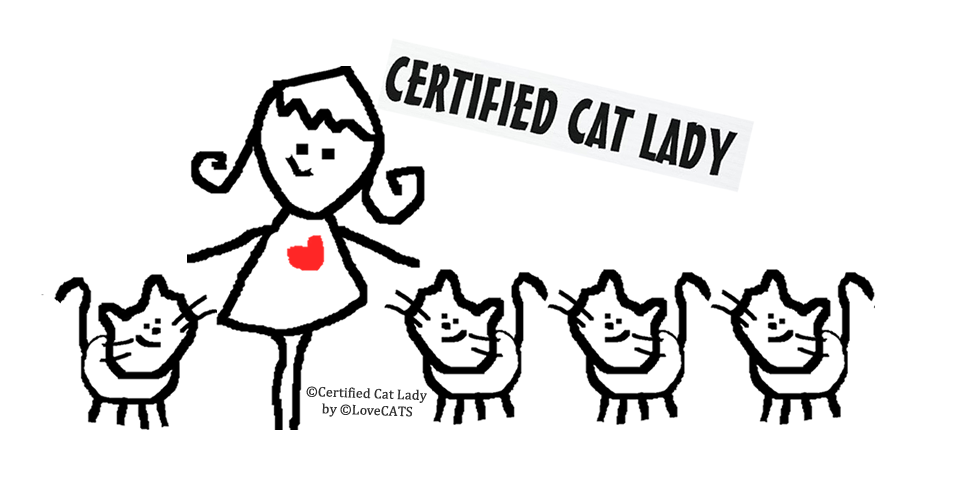 8 signs that you are a true cat lady! | LoveCATS World