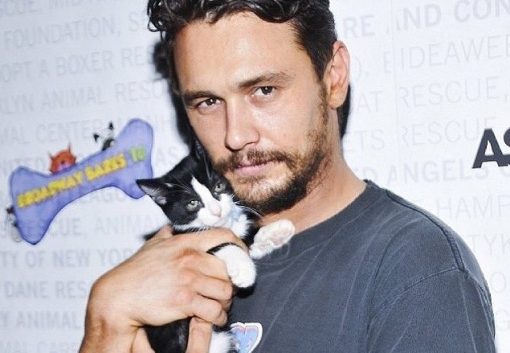 Famous actors with their cats! | LoveCATS World