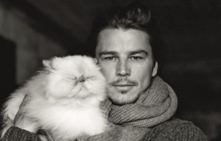 Famous actors with their cats! | LoveCATS World