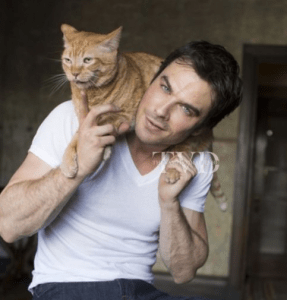 Famous actors with their cats! | LoveCATS World