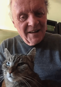 Famous actors with their cats! | LoveCATS World