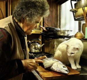 Fukumaru, a stray kitten saved by a Japanese grandma | LoveCATS World
