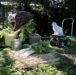 Fukumaru, a stray kitten saved by a Japanese grandma | LoveCATS World