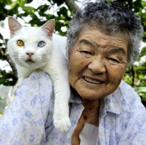 Fukumaru, a stray kitten saved by a Japanese grandma | LoveCATS World