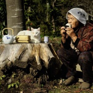 Fukumaru, a stray kitten saved by a Japanese grandma | LoveCATS World