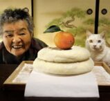 Fukumaru, a stray kitten saved by a Japanese grandma | LoveCATS World
