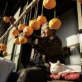 Fukumaru, a stray kitten saved by a Japanese grandma | LoveCATS World