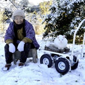 Fukumaru, a stray kitten saved by a Japanese grandma | LoveCATS World