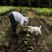 Fukumaru, a stray kitten saved by a Japanese grandma | LoveCATS World