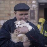 Ukrainian soldiers blessed with the love of stray cats | LoveCATS World