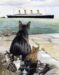 Jenny, the legendary cat of the Titanic | LoveCATS World