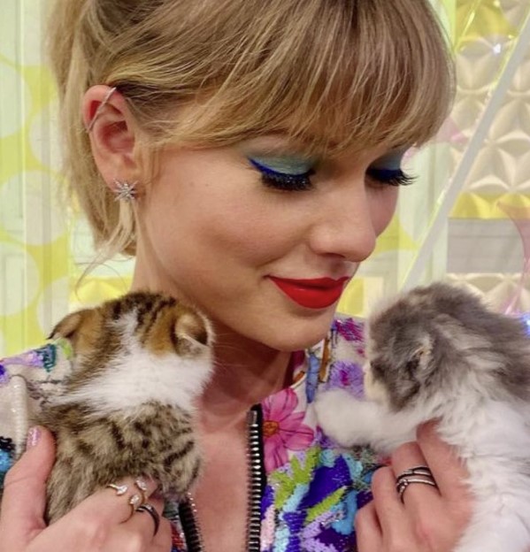 Benjamin Button Is Cat Of The Year LoveCATS World Benjamin Button Is Cat Of The Year LoveCATS World